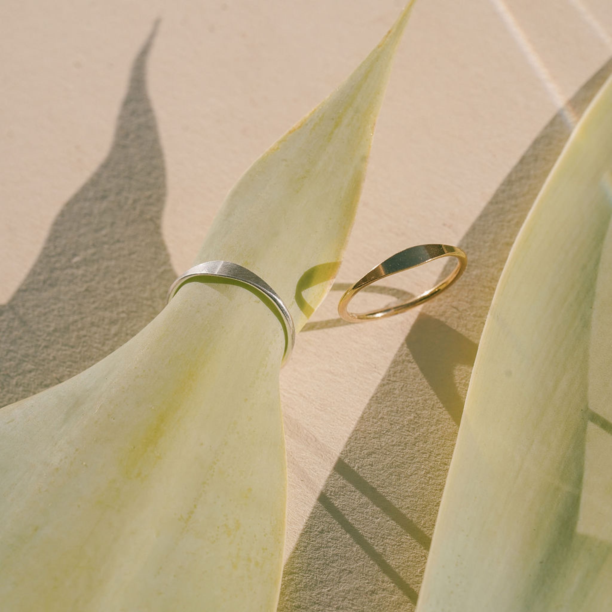 Mantle Ring – Baleen