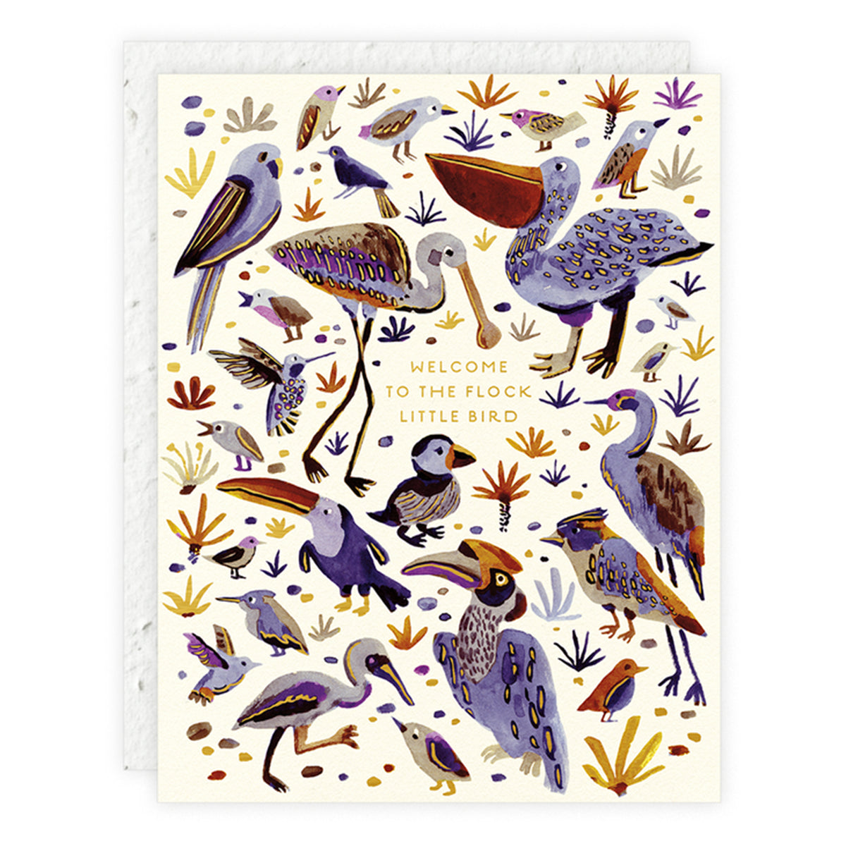 Little Bird Card – Baleen