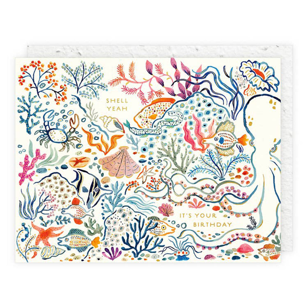 Shell, Yeah Card – Baleen